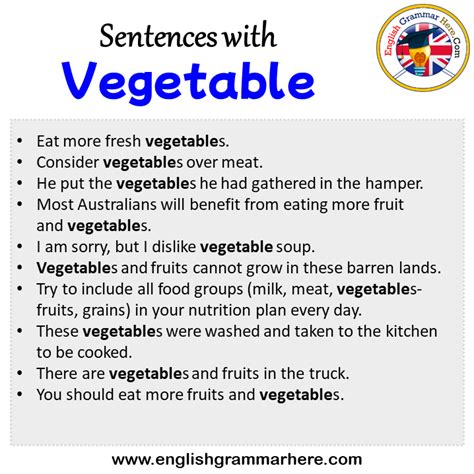 Sentences With Below Below In A Sentence In English Sentences For