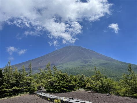 ゆったり楽しむ鉄道の旅 富士山麓電気鉄道編 四季の旅
