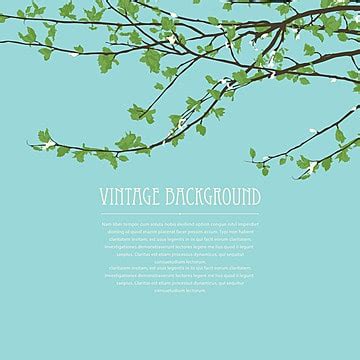Tree Brunch Background PNG Transparent Images Free Download Vector Files Pngtree