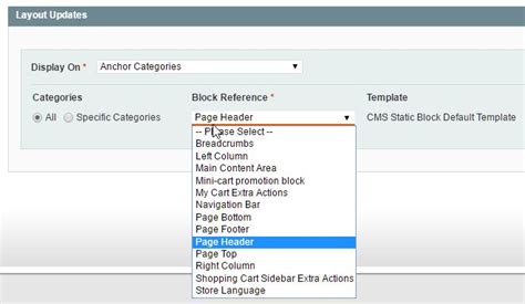 Ee 114 Creating Widget Via Cms Widget Widget Only Renders On