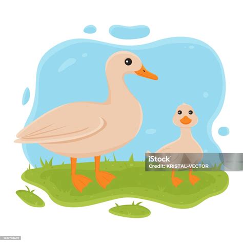 오리와 오리가 풀밭에 서 있다 만화 간단한 플랫 스타일로 국내 농장 새의 벡터 일러스트 0명에 대한 스톡 벡터 아트 및 기타 이미지 0명 가공의 인물 귀여운 Istock