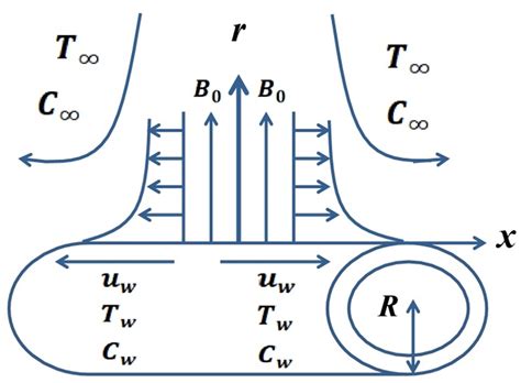 Geometry Of The Mathematical Model Color Figure Can Be Viewed At Download Scientific Diagram