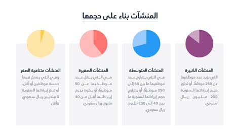 لائحة تنظيم العمل الداخلية للشركات والمؤسسات