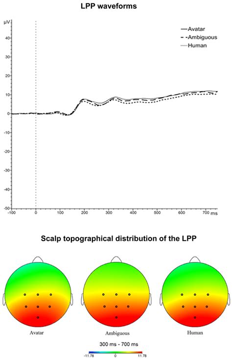 Late Positive Potential Lpp Waveforms And Scalp Topographical