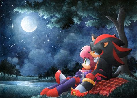 14938 Safe Artistfiniksempai Shadow The Hedgehog Sonia The
