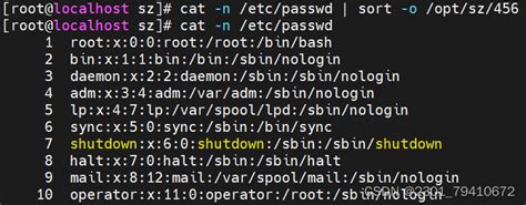 Linux文本处理工具：grepsedawk与正则表达式应用 Csdn博客