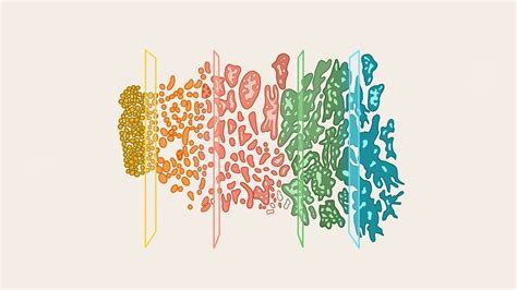 How The Gleason Score Is Key To Understanding Your Prostate Cancer