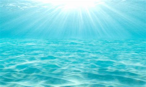 Ocean Powerpoint Templates Simple Phone Wallpapers Powerpoint Background Design Ocean Wallpaper