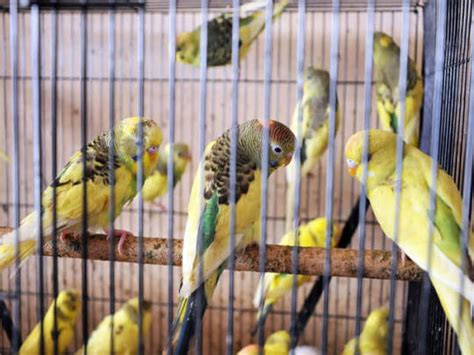 Sonic Unity Comic On Tumblr