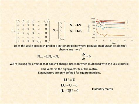Ppt Simple Population Models Powerpoint Presentation Free Download Id2179965