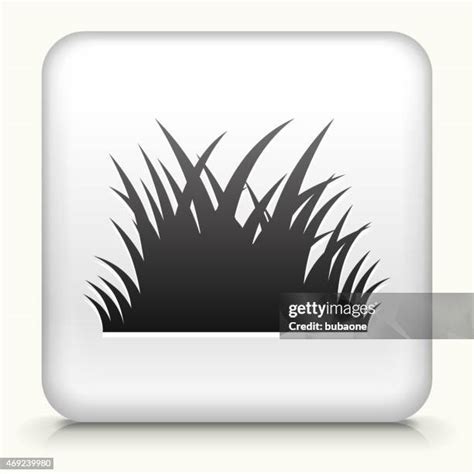 Grass Patch Vector Photos And Premium High Res Pictures Getty Images