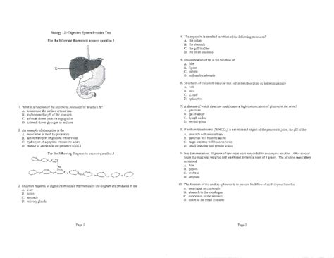 Digestive System Practice Test 2doorzf 2 Biology 12 Digestive System Practice Test 4 The