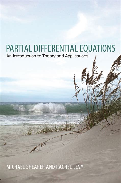 Partial Differential Equations Princeton University Press