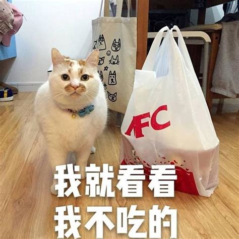 無水印貓咪錶情包 我就看看 我不吃的 每日頭條