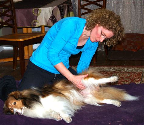 Canine Massage Therapy Canine Basics
