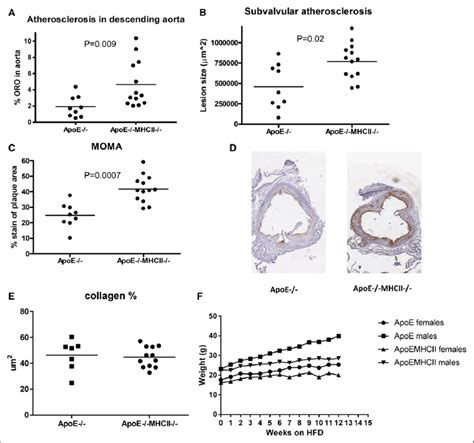 Impact Of Major Histocompatibility Complex Class Ii Mhcii Deficiency Download Scientific