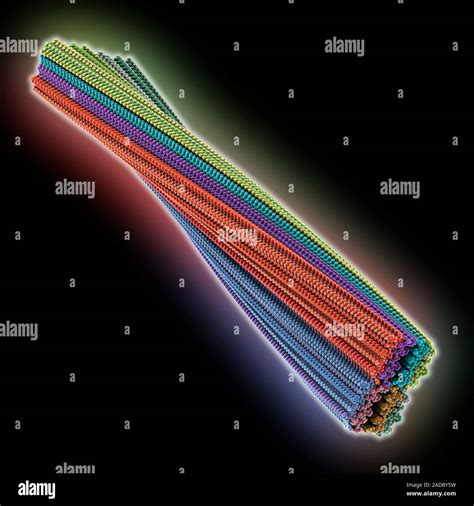 Cross Beta Amyloid Fibril Computer Model Showing The Structure Of A Cross Beta Amyloid Fibril