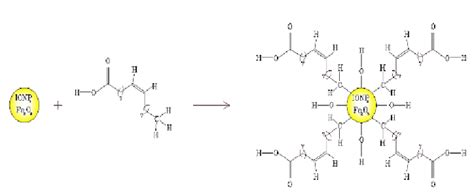 Schematic Surface Modification Of The Synthesized Nano ] Fe 2 O 3 By Download Scientific