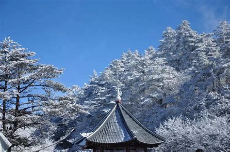2020年峨眉山雪景 峨眉山雪景全景 峨眉山雪景 第4页 大山谷图库