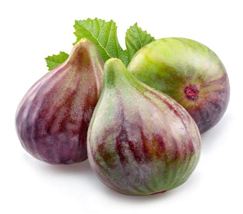 Fig Fruits With Fig Leaves Isolated On White Background Stock Image