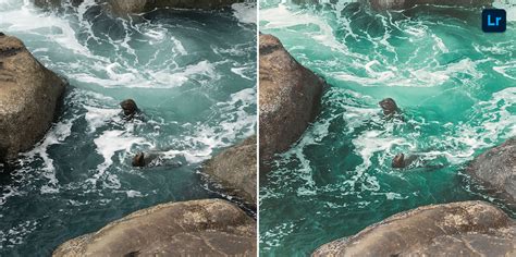 Seal Pair Edit Photoshop Lightroom