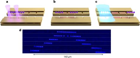 Nat Phys Intermediate Circuit Measurements Demonstrate Quantum Computing Advantages