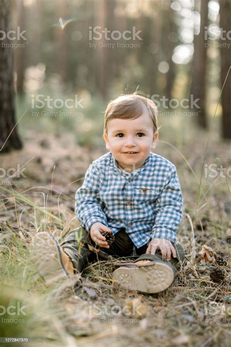 체크 무늬 셔츠를 입은 어린 아기 소년은 가을 소나무 숲에 앉아 콘을 가지고 놀고 카메라에 미소를 지었습니다 일몰에 가을 숲에서 귀여운 어린 유아 소년의 야외 초상화 가을에