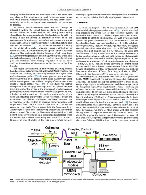 Solution A Fiber Optic System For Dual Modality Photoacoustic Microscopy And Confocal