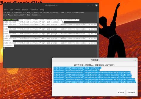 安装完成后，开机显示 welcome to grub community deepin technology