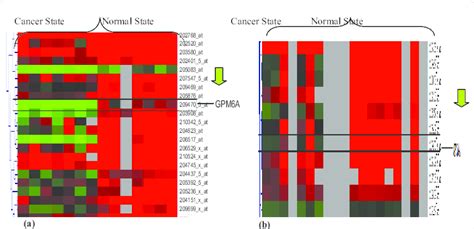 K Means Clustering Diagrams Of The Two Datasets A Gds1732 B