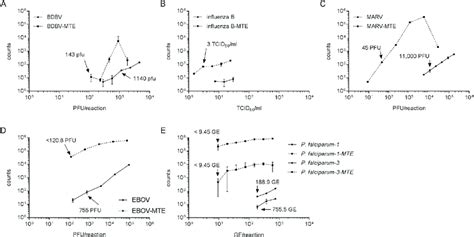Improved Pcr Detection Following Mte Bdbv A Influenza B Strain 38 Download Scientific