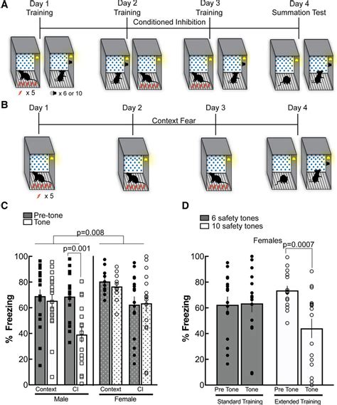 Stress And Sex Dependent Effects On Conditioned Inhibition Of Fear