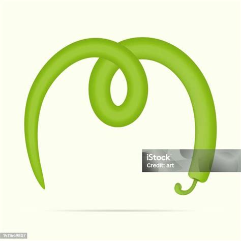 M 글자 녹색 칠리 고추 디자인 건강하고 채식주의 자 디자인 자연 템플릿 야채 로고 등을위한 벡터 야채 글꼴 건강한 식생활에 대한 스톡 벡터 아트 및 기타 이미지 Istock