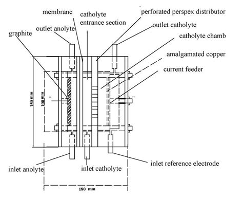 Schematic View Of The Cell Download Scientific Diagram