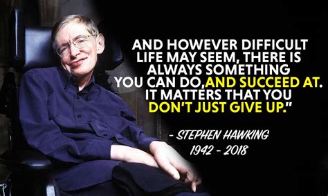stephen hawking quotes homecare24