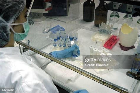 Icmp Commission Photos And Premium High Res Pictures Getty Images