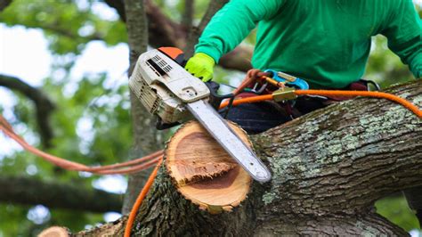 TREE TRIMMING REMOVAL Going Green Landscaping