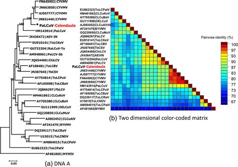 Phylogenetic Trees Constructed From Aligned Complete Nucleotide