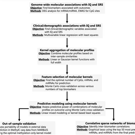 Scheme For Kernel Aggregation And Prediction Models 1 Design Download Scientific Diagram