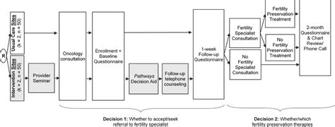 Pathways Patient Centred Decision Counselling For Women At Risk Of Cancer Related Infertility