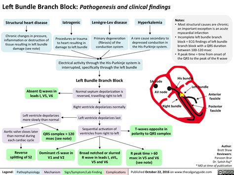 Left Bundle Branch Block Pathogenesis And Clinical Findings Calgary Guide