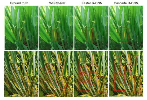Visualization Of The Comparison Results With Horizontal Detection