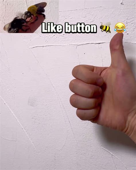 Like Button Animation😂🐝shorts Youtube