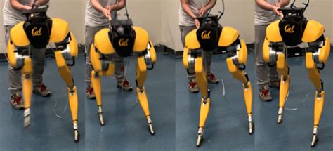 Reinforcement Learning For Robust Parameterized Locomotion Control Of