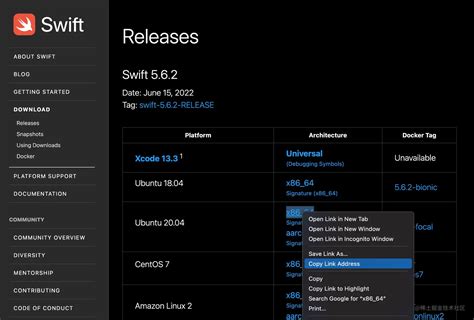 Ubuntu2004 上安装 Swift参考官方文档：download Swift 步骤1：更新系统包 在开始安装之前 掘金