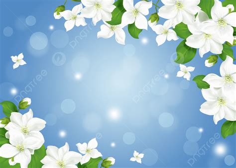 รูปเอฟเฟกต์แสงพื้นหลังดอกมะลิบานดอกมะลิสีขาว ดอกไม้ ดอกสีขาว ลายดอกไม้ภาพพื้นหลังสำหรับการ