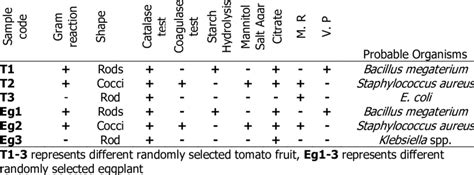 Biochemical Identification Of Bacteria From Deteriorated Eggplant And