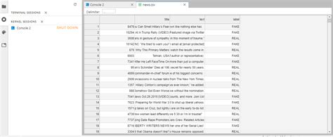 Python Generate Fake Data Klimvet