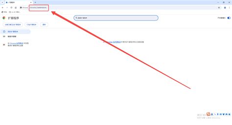 谷歌浏览器的地址栏功能如何使用？使用方法指南