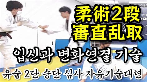 유술 2단 승단 심사 란도리 카타로 익힌 기술을 자유롭게 써보기 대동류합기유술 연심관 한국지부 입신 변화기 컴비네이션 스파링 나이프 디펜스 2인 상대